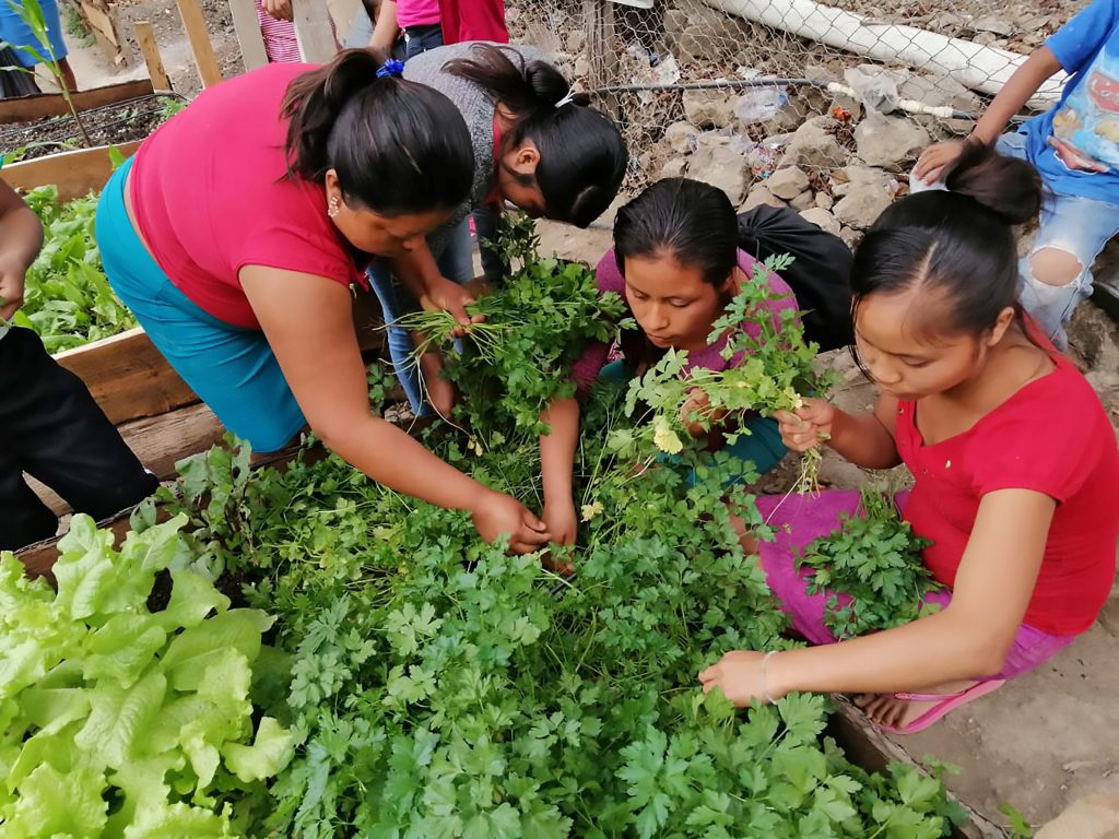 AWS fondea a 32 proyectos comunitarios locales en el sur de México ...
